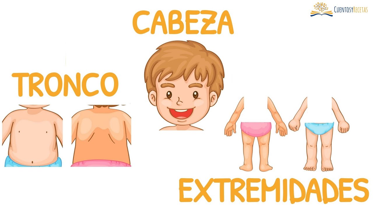 Extremidades Del Cuerpo Worksheet Live Worksheets 48 Off