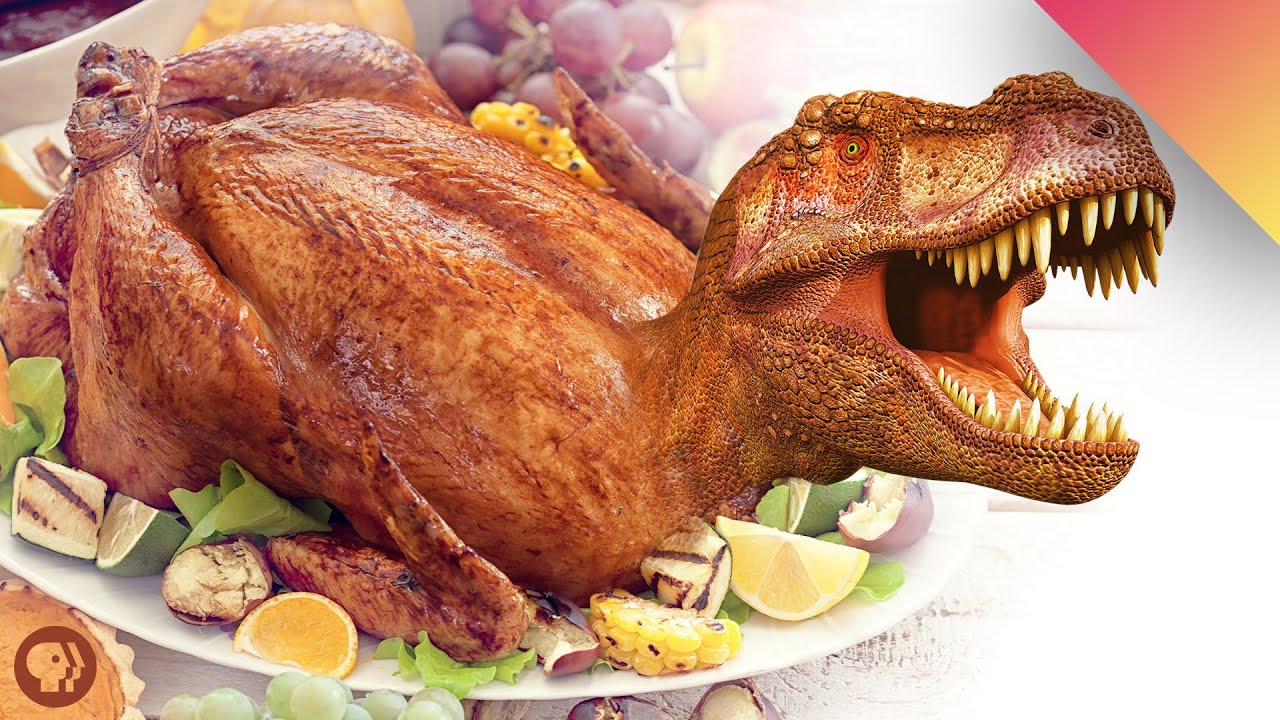 There Might Be A Dinosaur On Your Dinner Table Youtube