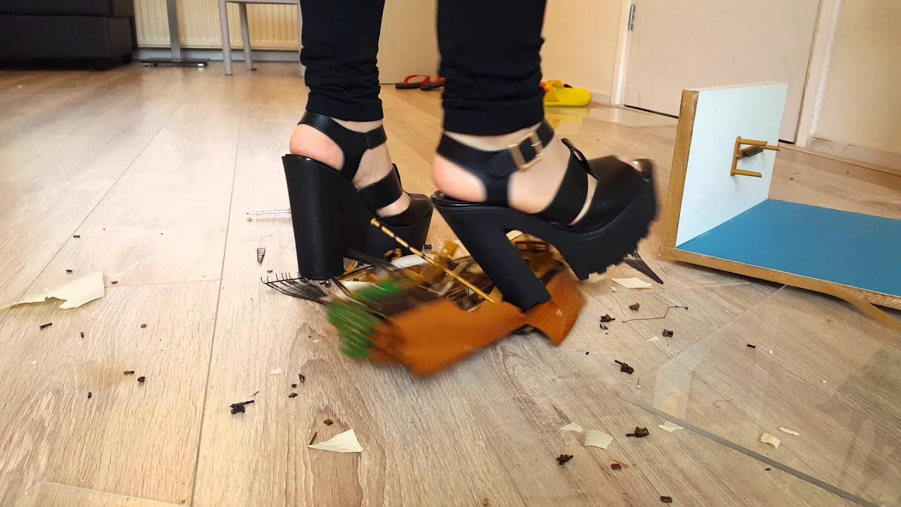 Modelship Dont Have A Chance Youtube