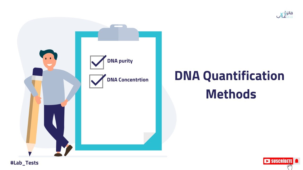 Dna Quantification Methods Youtube
