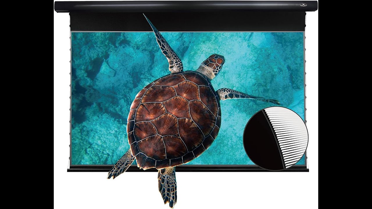 Vividstorm Projection Screen Review Pros Cons Pro Slimline