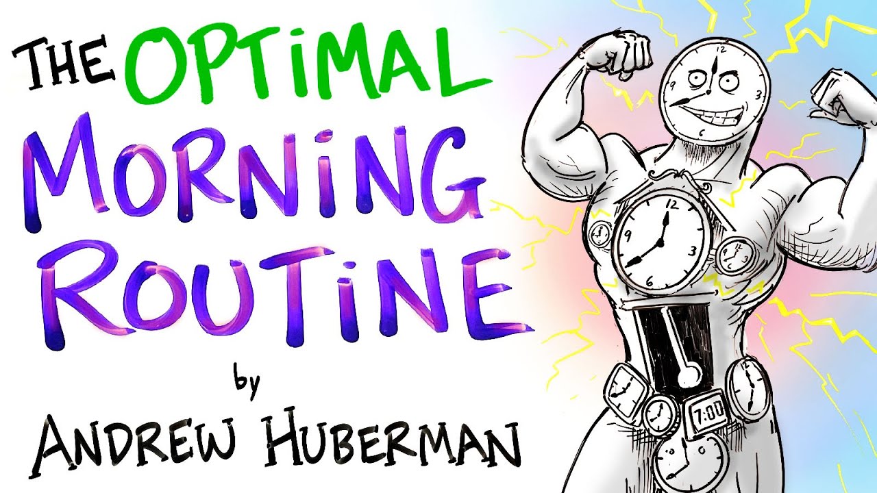 The Optimal Morning Routine Andrew Huberman Youtube