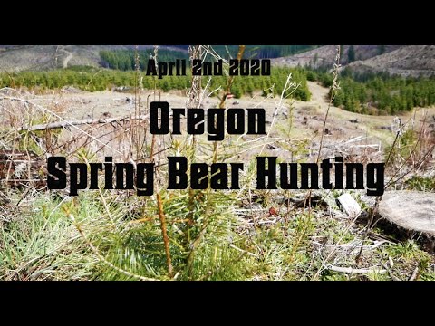 Oregon Spring Bear Hunting Ep 1 Youtube