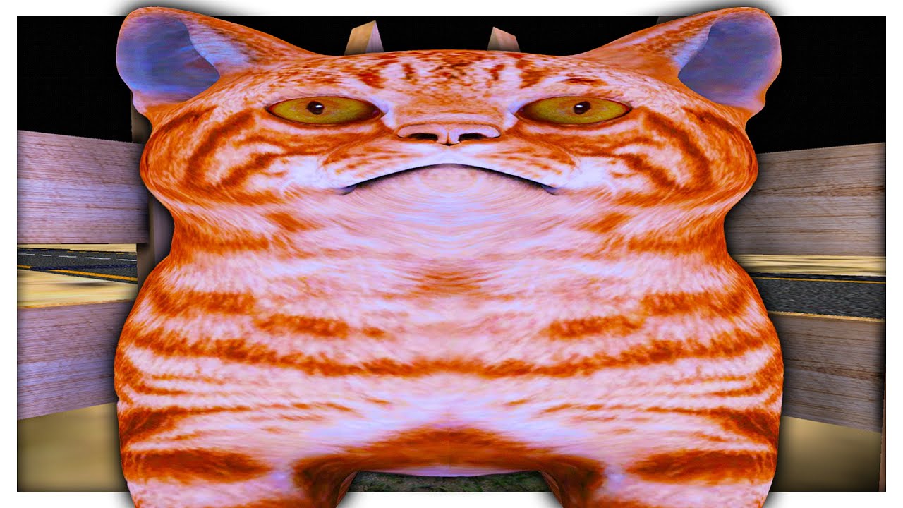 Gatto Youtube