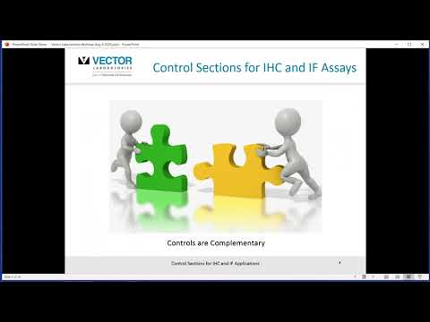 Control Sections For Ihc And If Applications Youtube