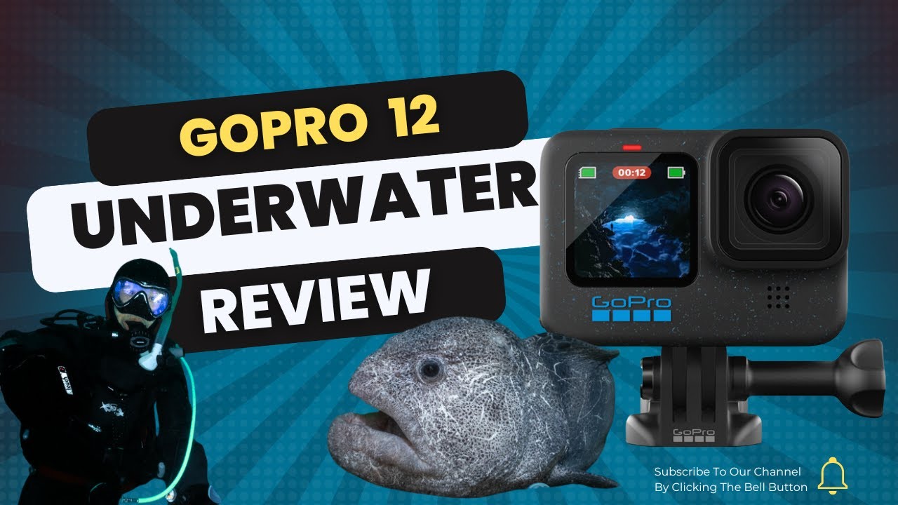 Gopro Hero 12 Underwater Review Worth The Upgrade Youtube