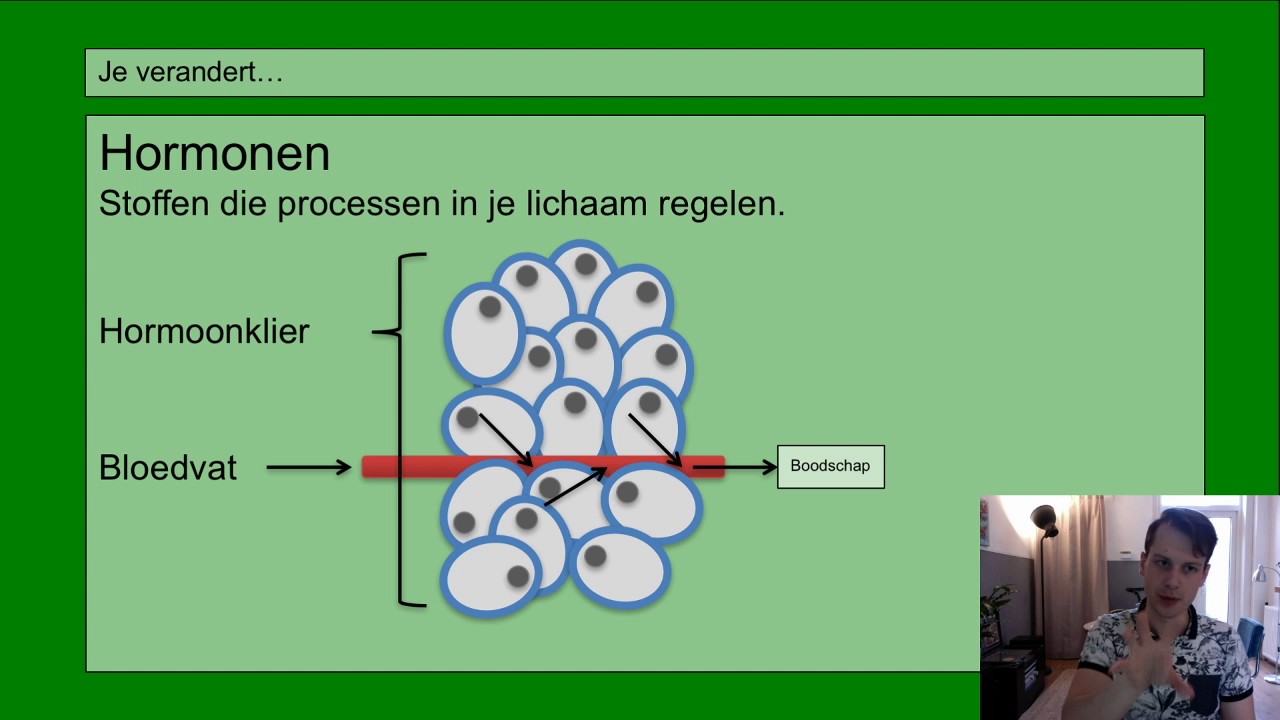 Vmbo Havo 2 Voortplanting Basisstof 1 Je Verandert Youtube