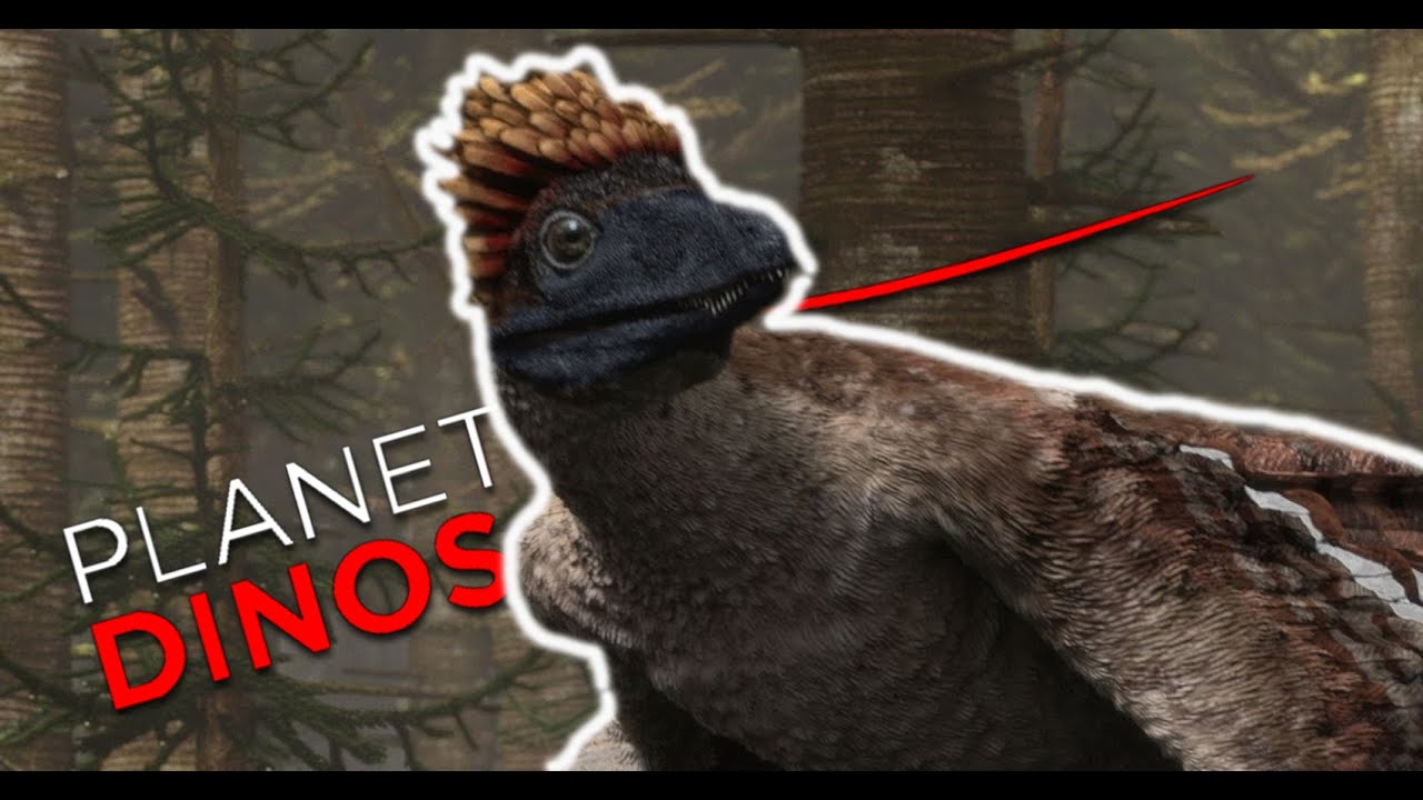 Microraptor Planet Dinosaur