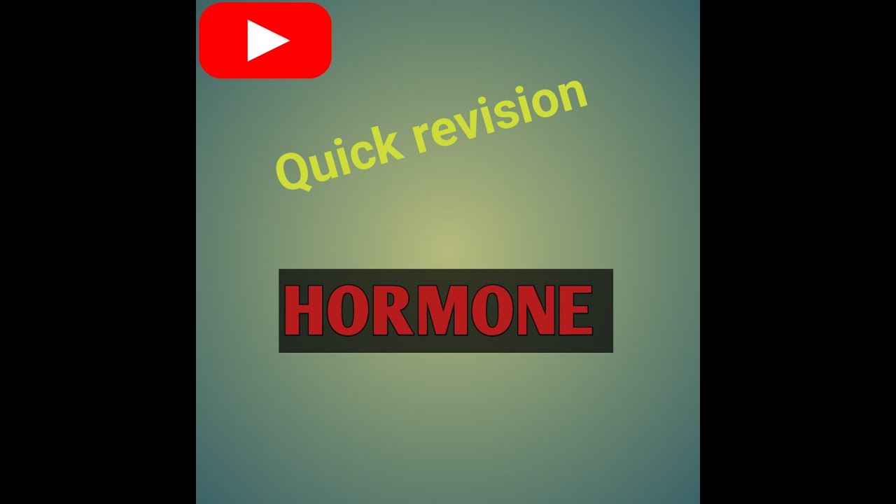 Hormone Youtube