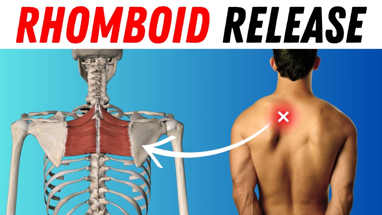 How To Release Rhomboid Pain In 3 Easy Steps Youtube