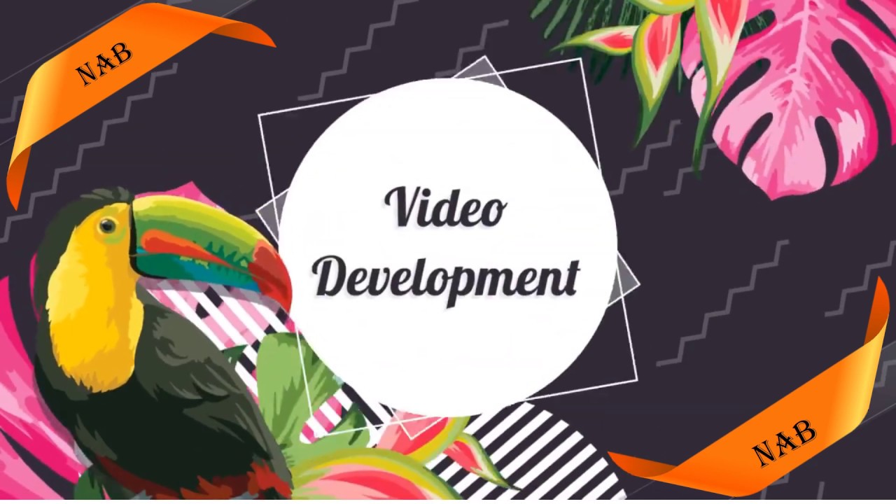Video Development Youtube
