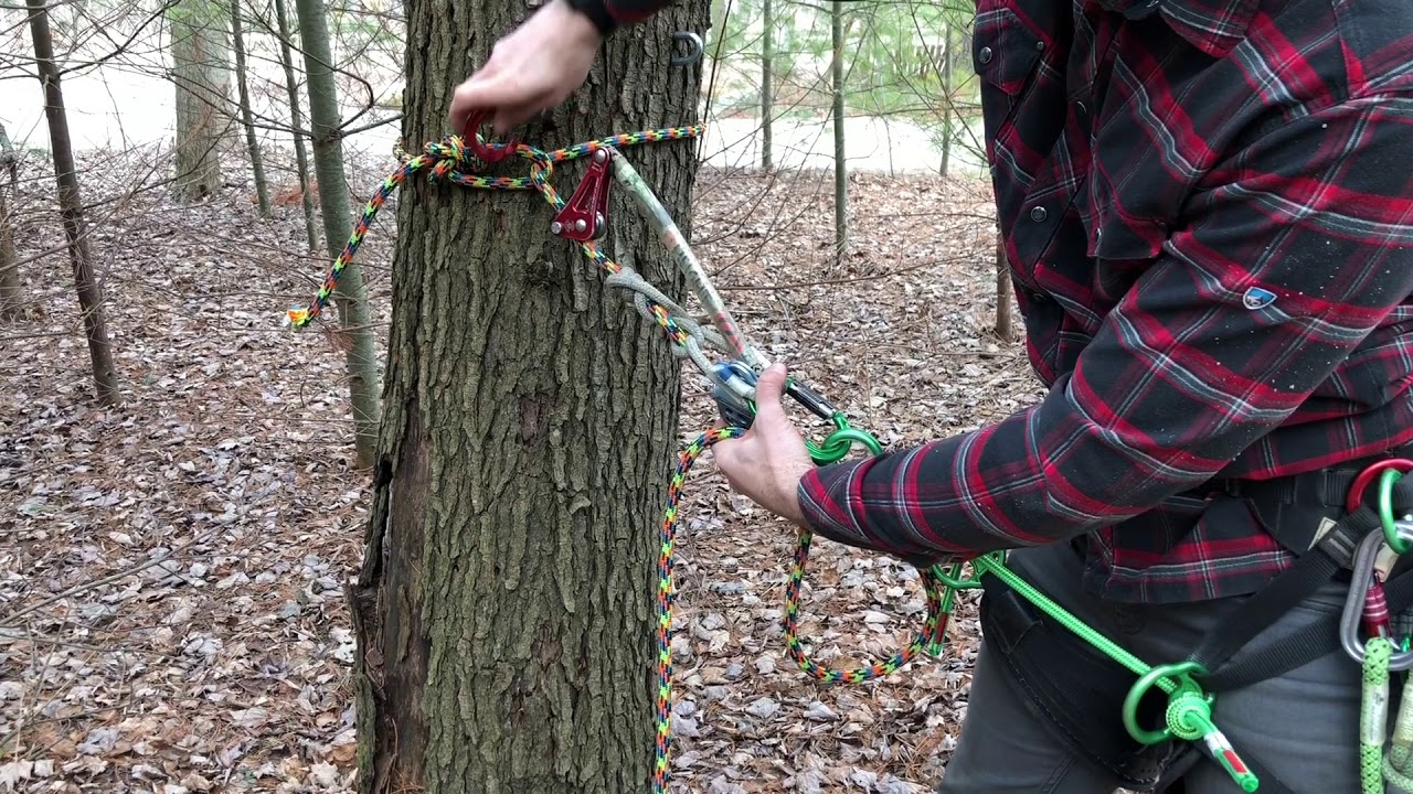 Cinching And Retrievable Anchor For Spar Work In Tree Removals Youtube