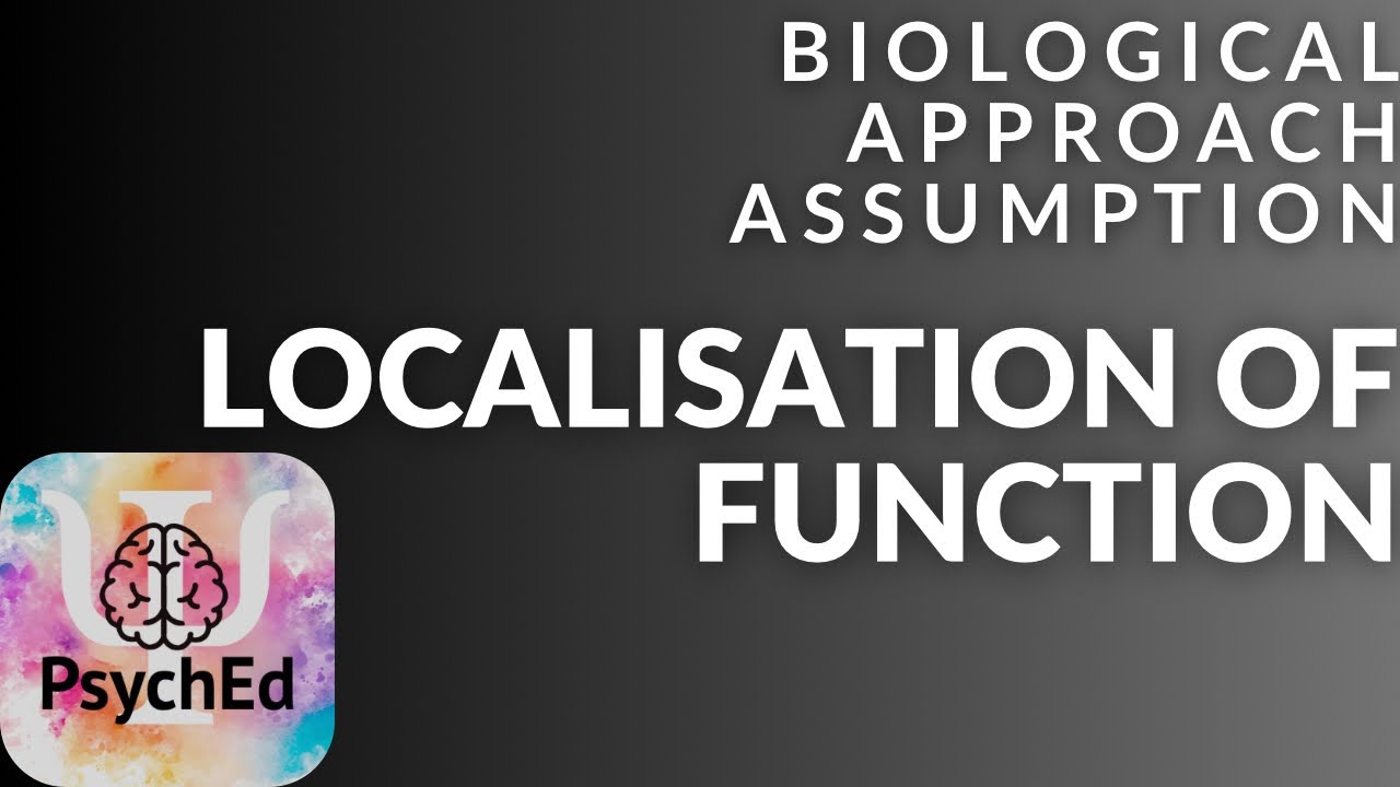 Biological Approach Assumption Localisation Of Function Youtube