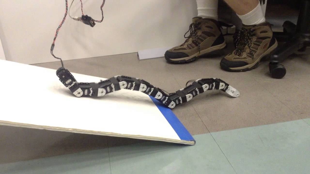 Robotic Snake Overview Youtube