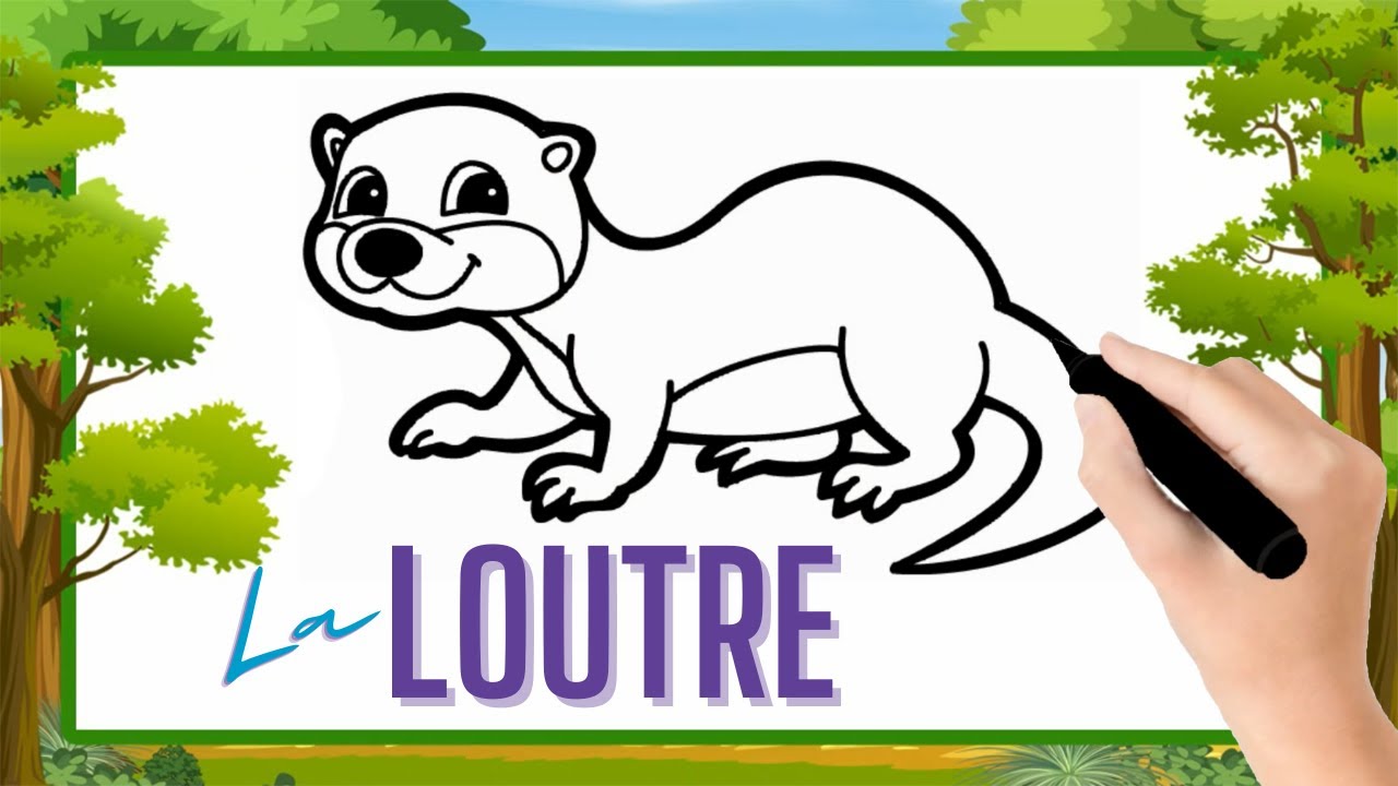 Comment Dessiner Facilement Une Loutre De Mer 27 Idées De Loutre