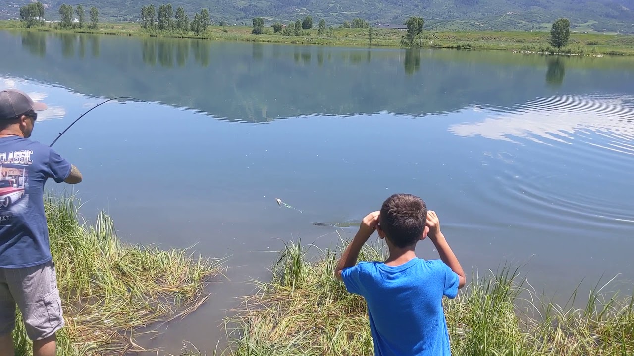 Fish Rescue Youtube