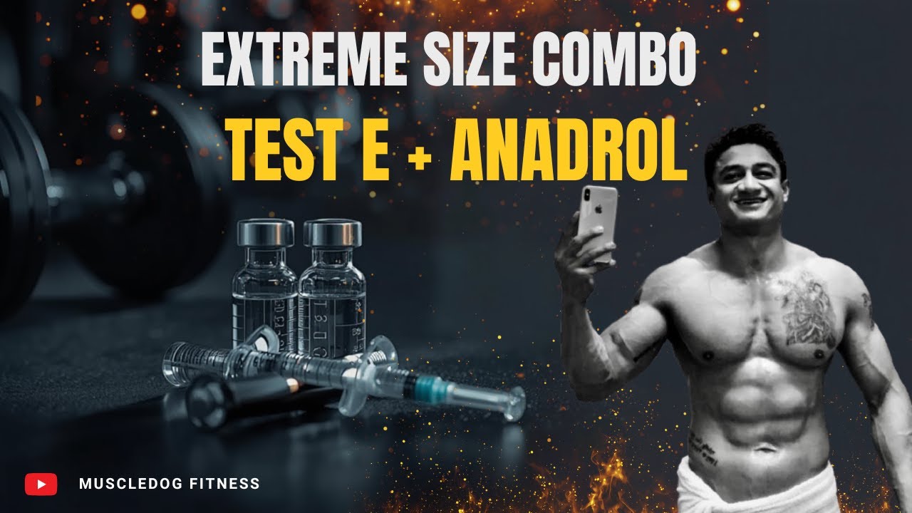 Test E Anadrol ёятй Mass Strength Cycle Explained Must Watch Youtube