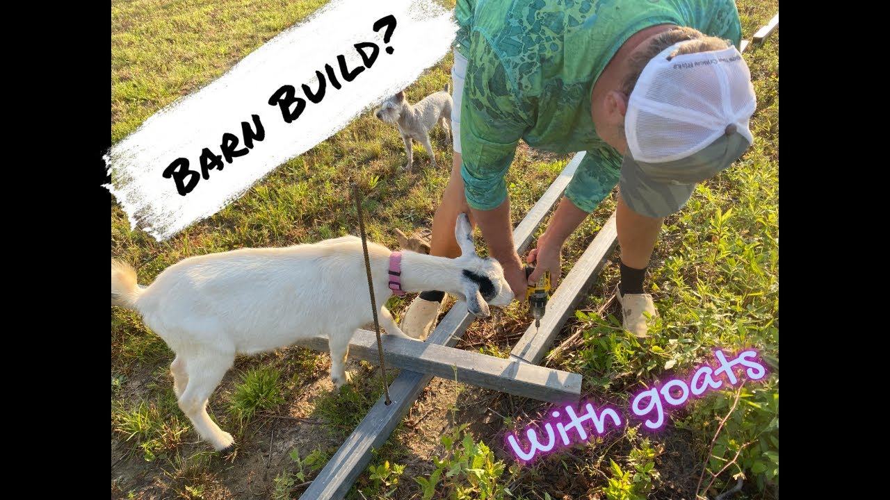 The Barn Build Part 1 Youtube