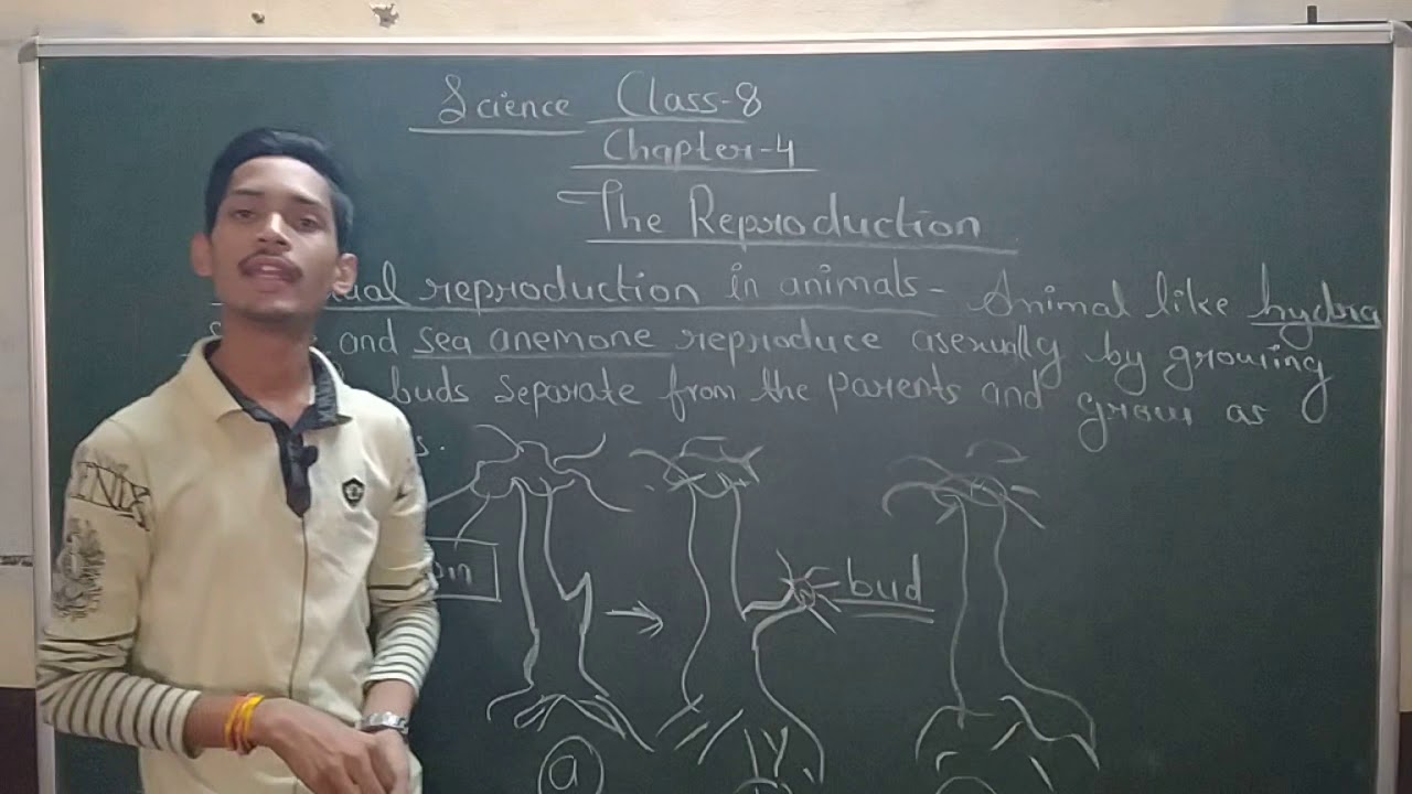 Class 8th Chapter 4 Youtube