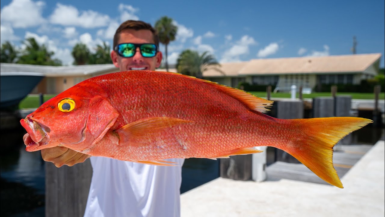 Best Way To Fillet Yelloweye Snapper Youtube