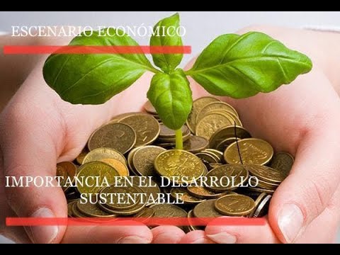 Escenario Económico Y Su Importancia En El Desarrollo Sustentable