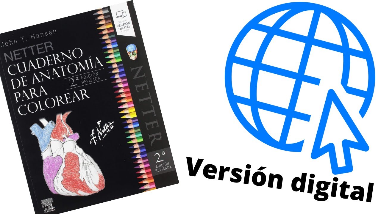 Versión Digital Netter Cuaderno De Anatomía Para Colorear Youtube