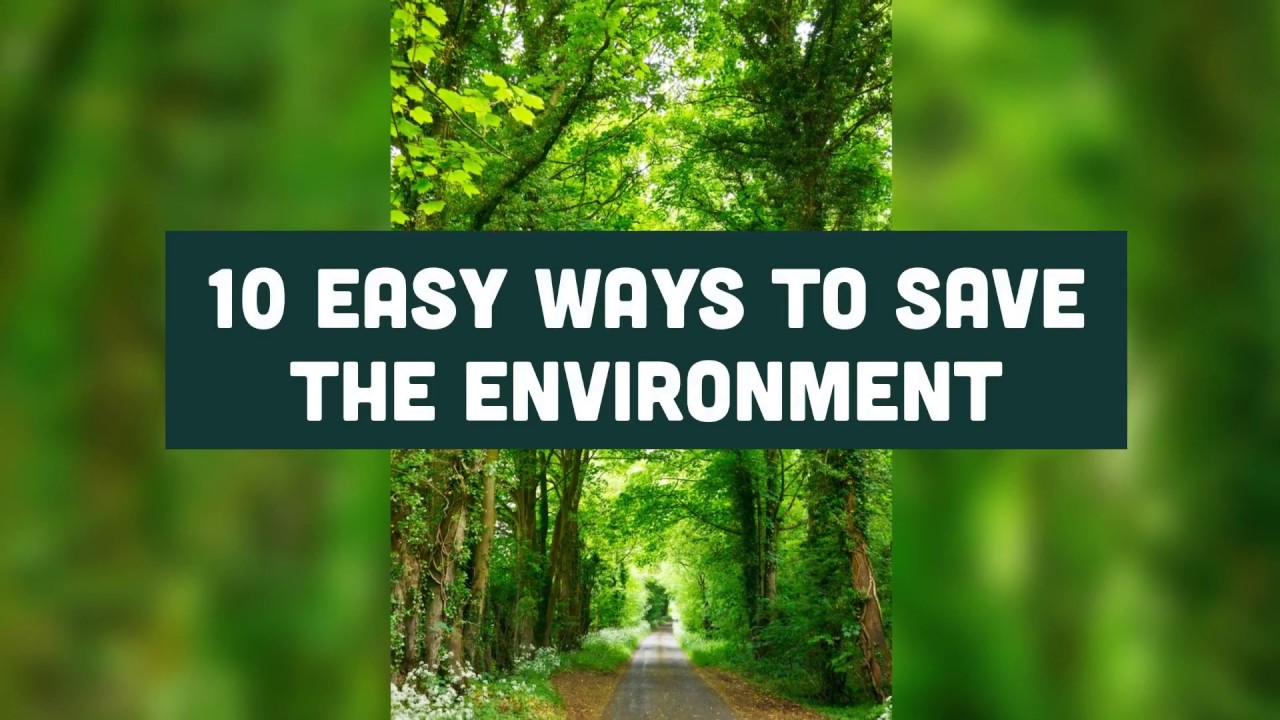 10 Ways To Protect The Environment Infoupdate Org