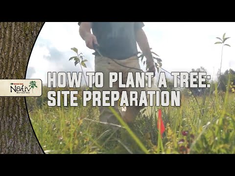 How To Plant A Tree Site Preparation Mossy Oak Gamekeeper