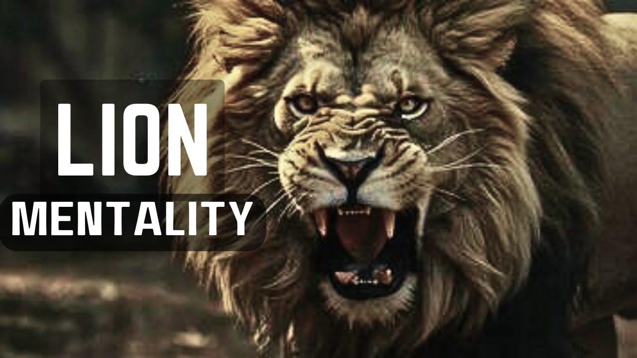 Lion Mentality Powerful Motivational Speech Youtube