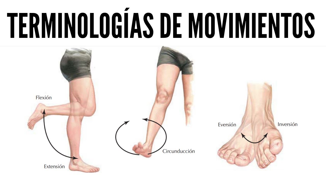 Anatomía Del Movimiento Corporal Muscular Hombre Corriendo Con Los