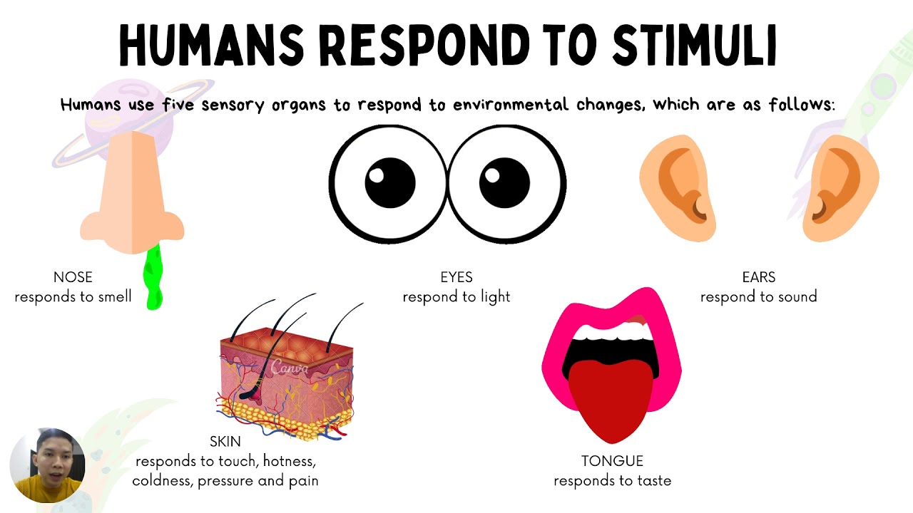 Stimulus Science Examples