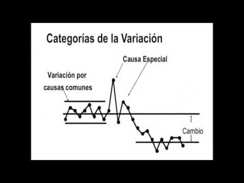 Causas Comunes Y Causas Especiales De Variación Youtube