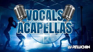 Pack Acapellas Chicha Musica Nacional 2 Gratis Dj Peluchin Descargas ...