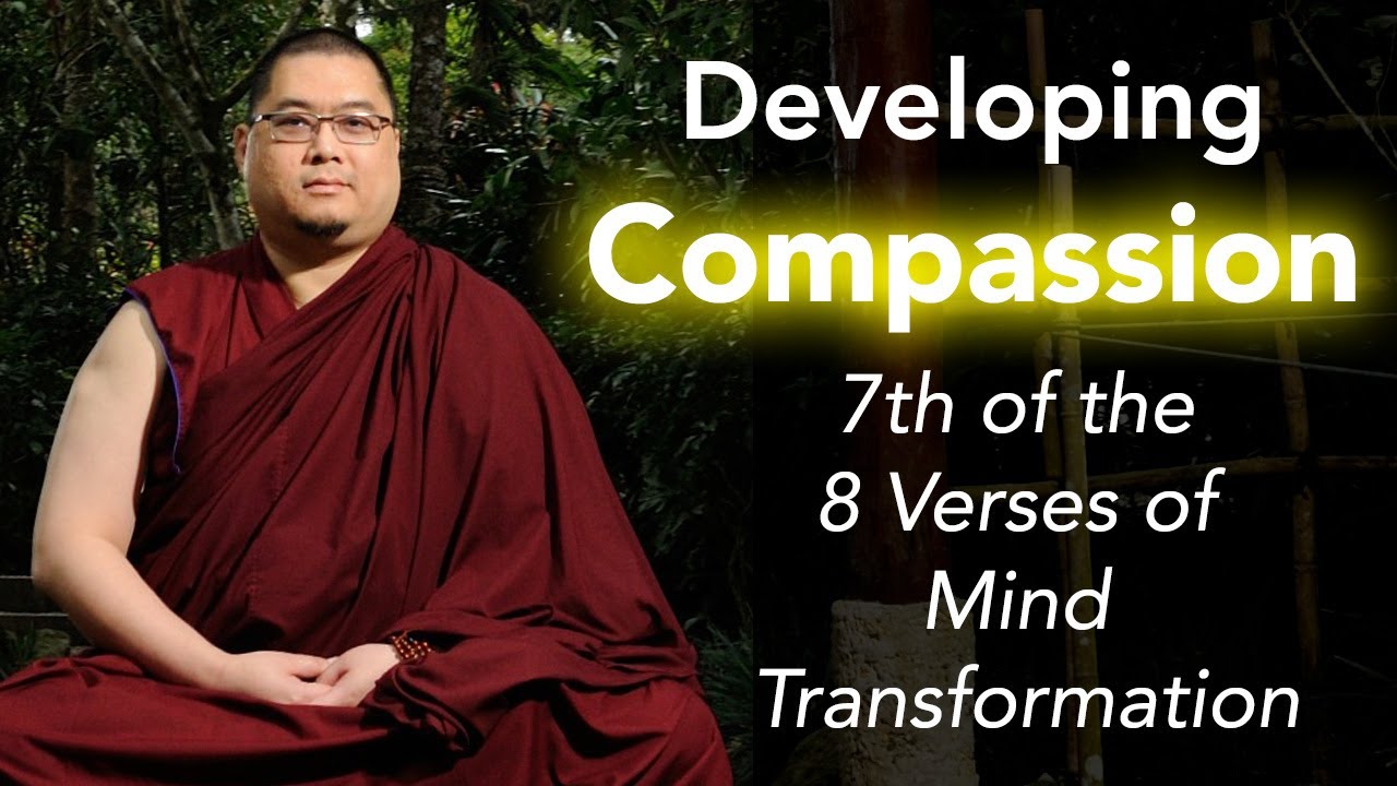 Developing Compassion 7th Of The 8 Verses Of Mind Transformation With