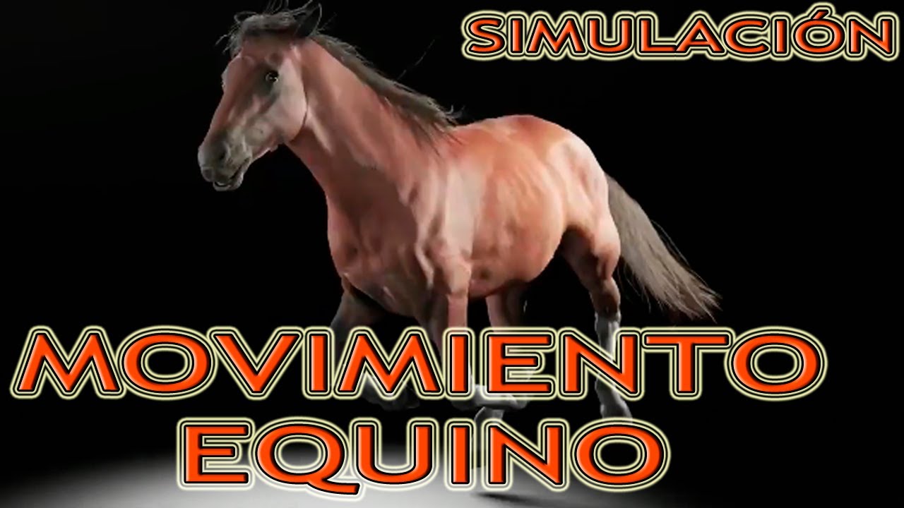 Movimiento Equino Simulación Youtube