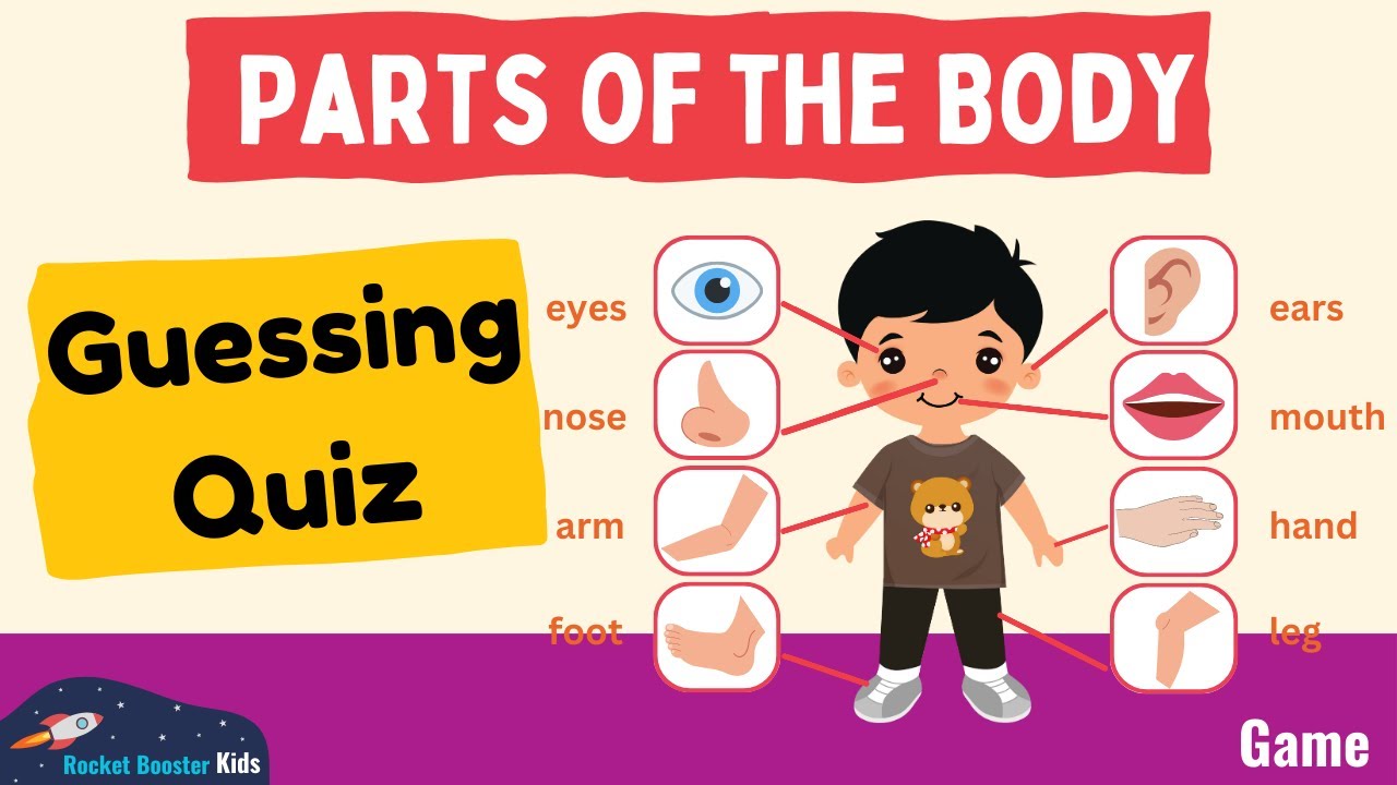 Body Parts Guessing Game At Spencer Burley Blog