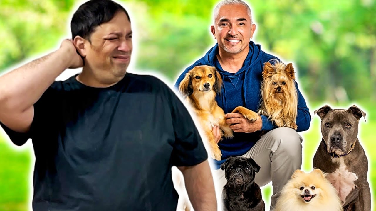 Dog Trainer Reacts To Cesar Millan Youtube