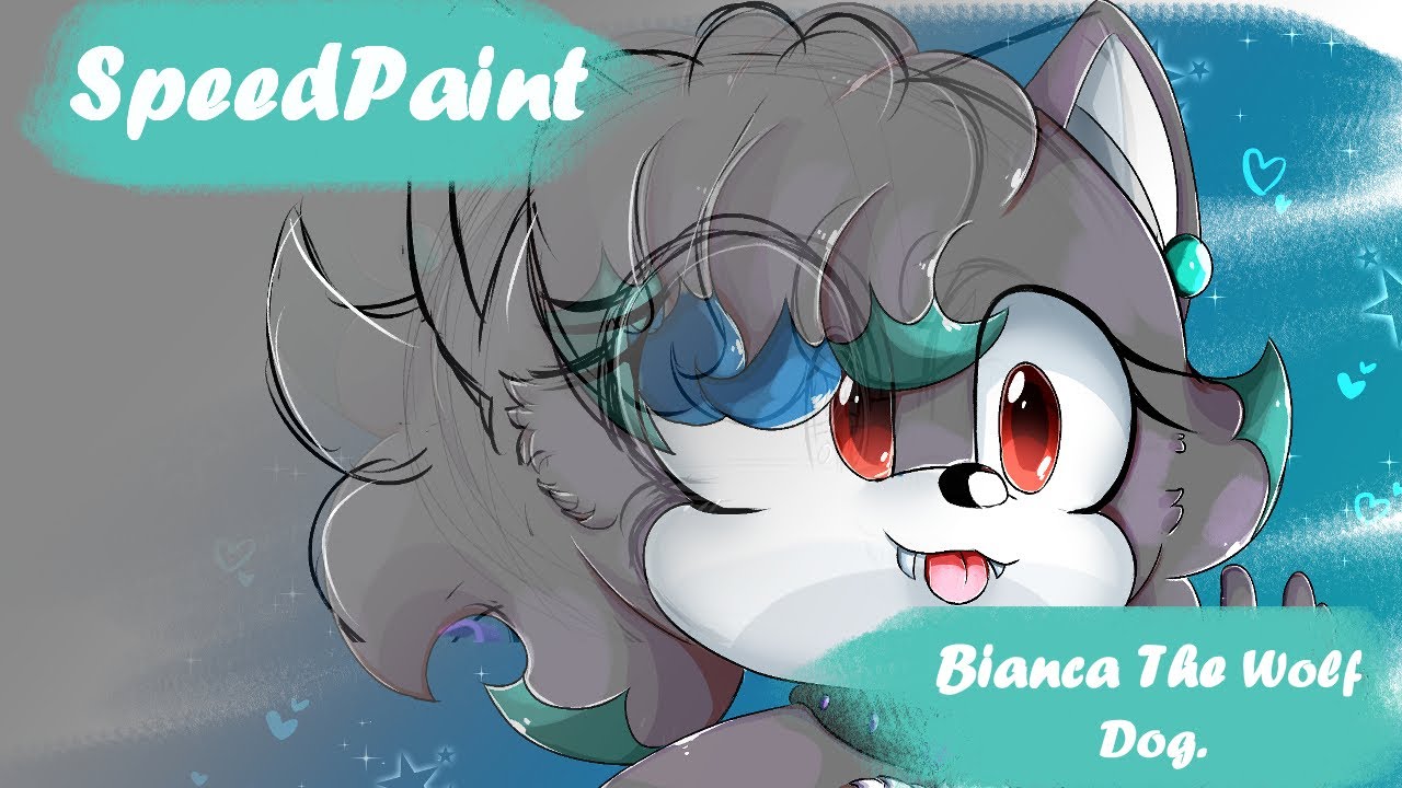 Speedpaint Comision Bianca The Wolfdog Youtube