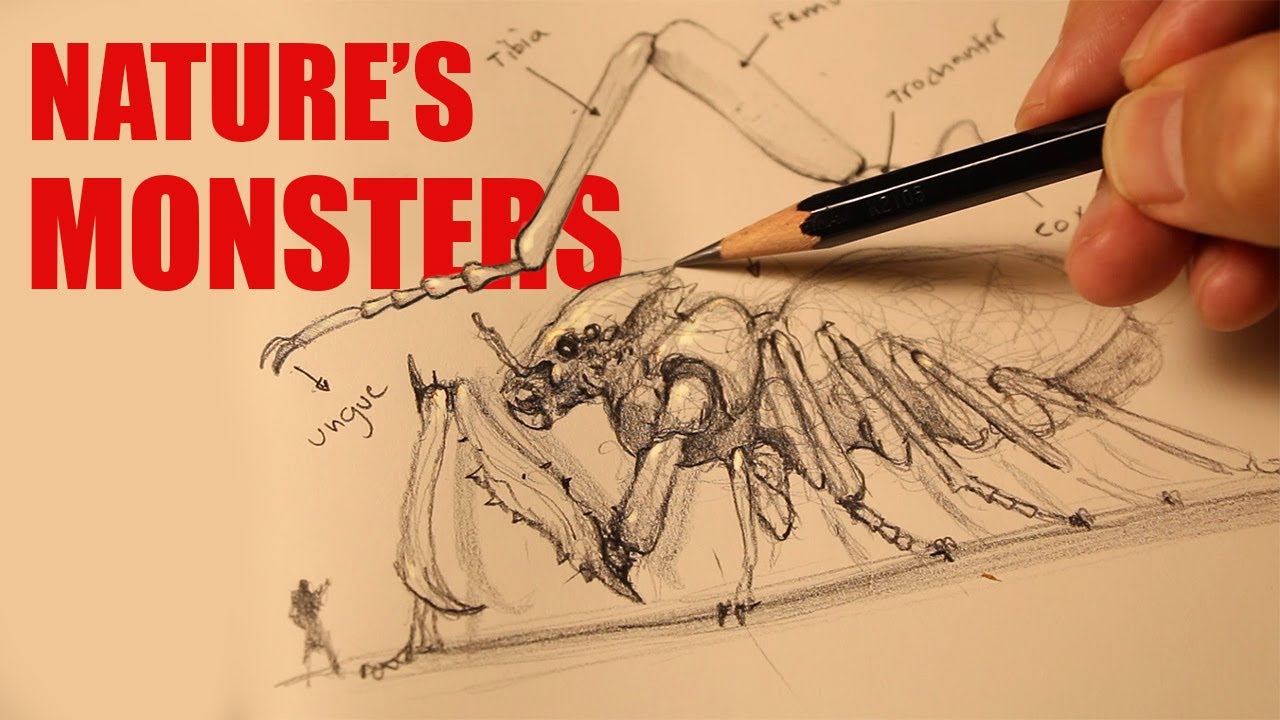 Designing A Creature From Insect Anatomy Transforming Bugs Into