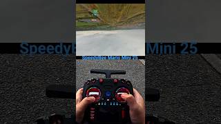 Is The Speedybee Mario Mini 25 Really That Agile Fpv Squadding Quads ...