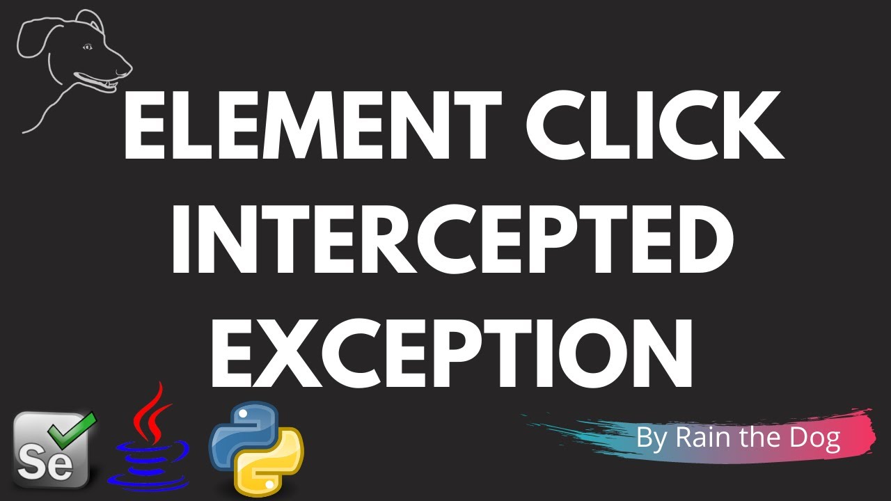 Selenium Element Not Clickable At Point Exception Element Click