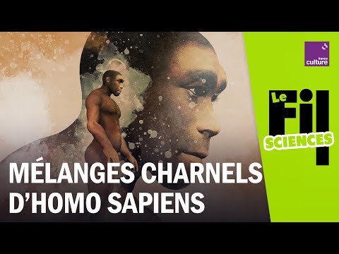 Combien D Espèces Humaines Font Partie De Nous Transcript Chat