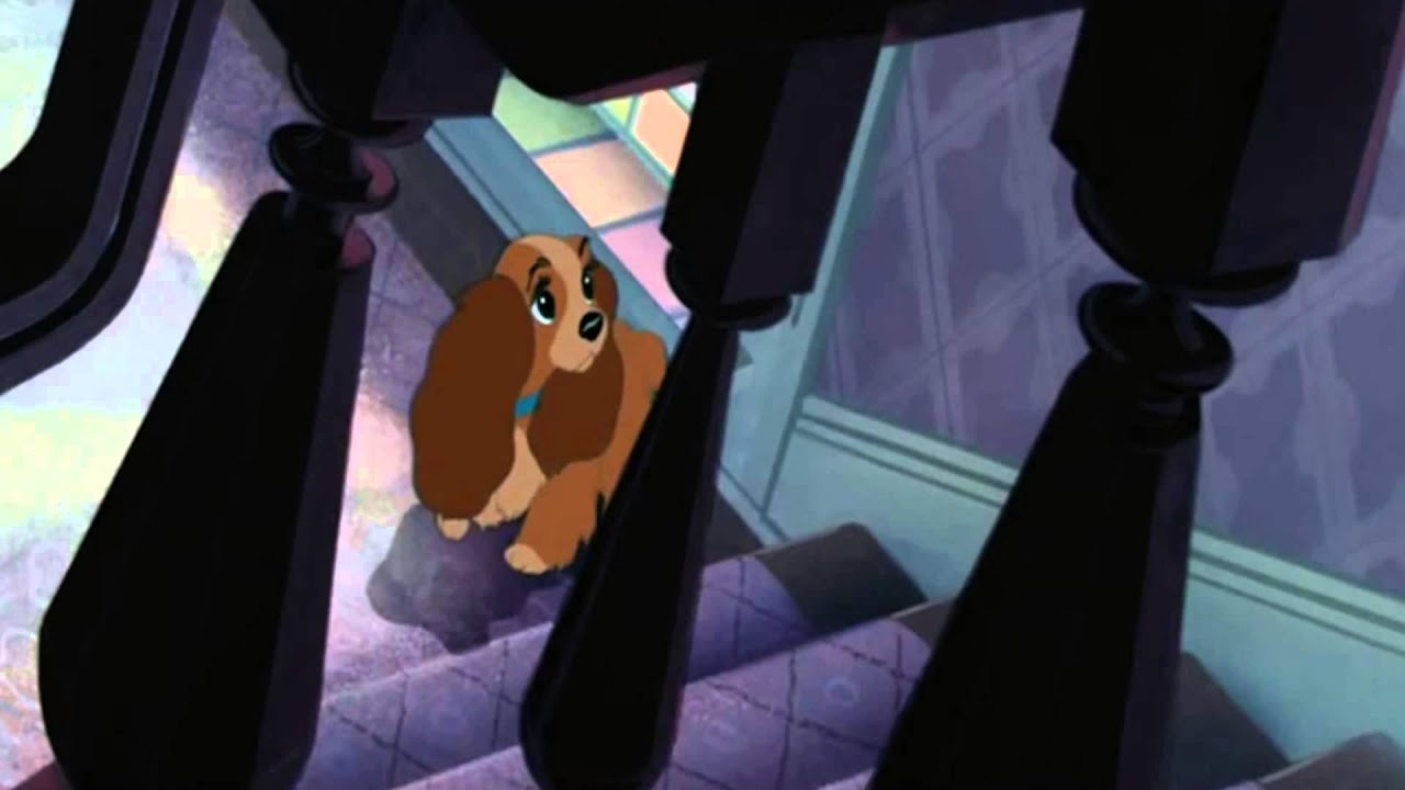 What Is A Baby La La Lu Clip Lady And The Tramp Thai Hd Youtube
