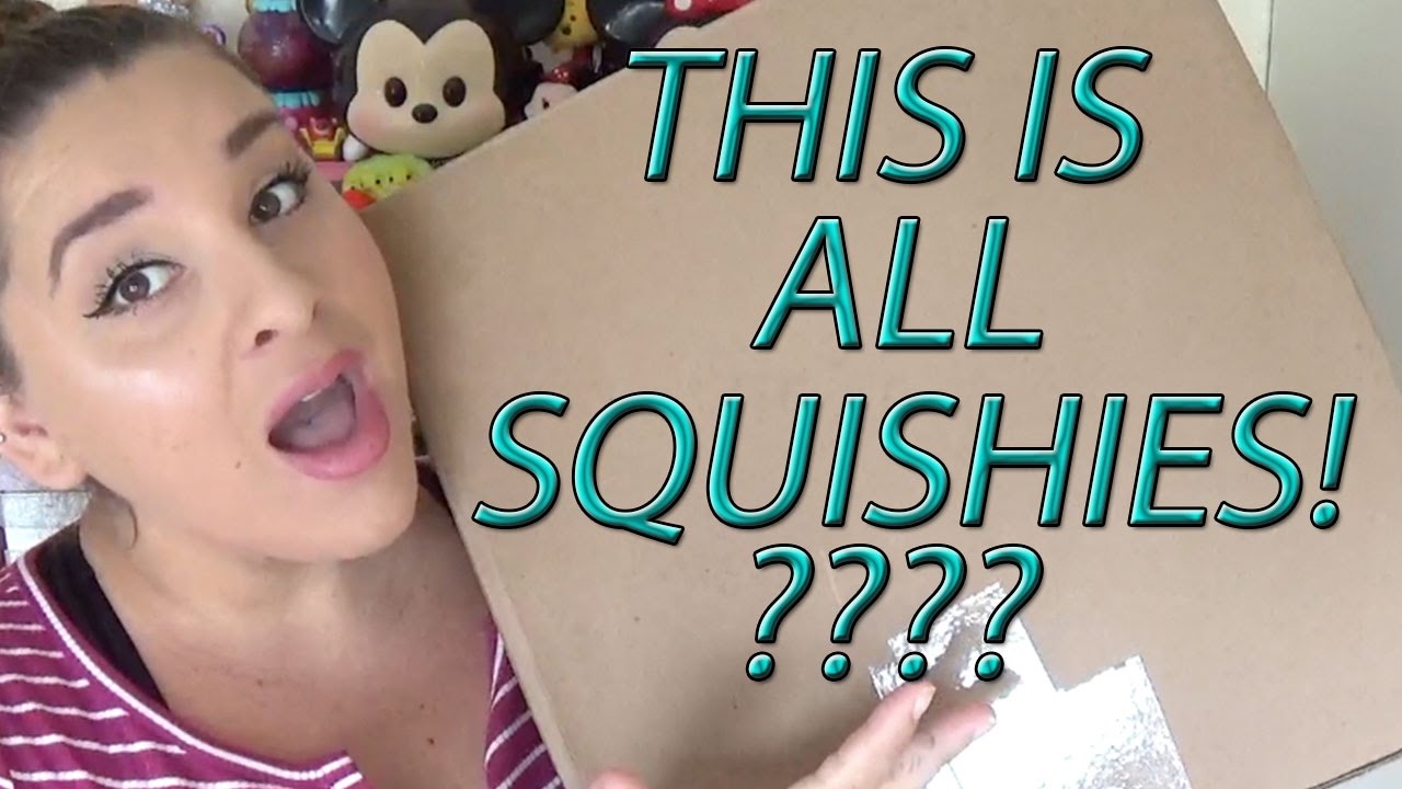 Omg Huge Box Of Squishies Jenna Lyn Squishy Package Youtube