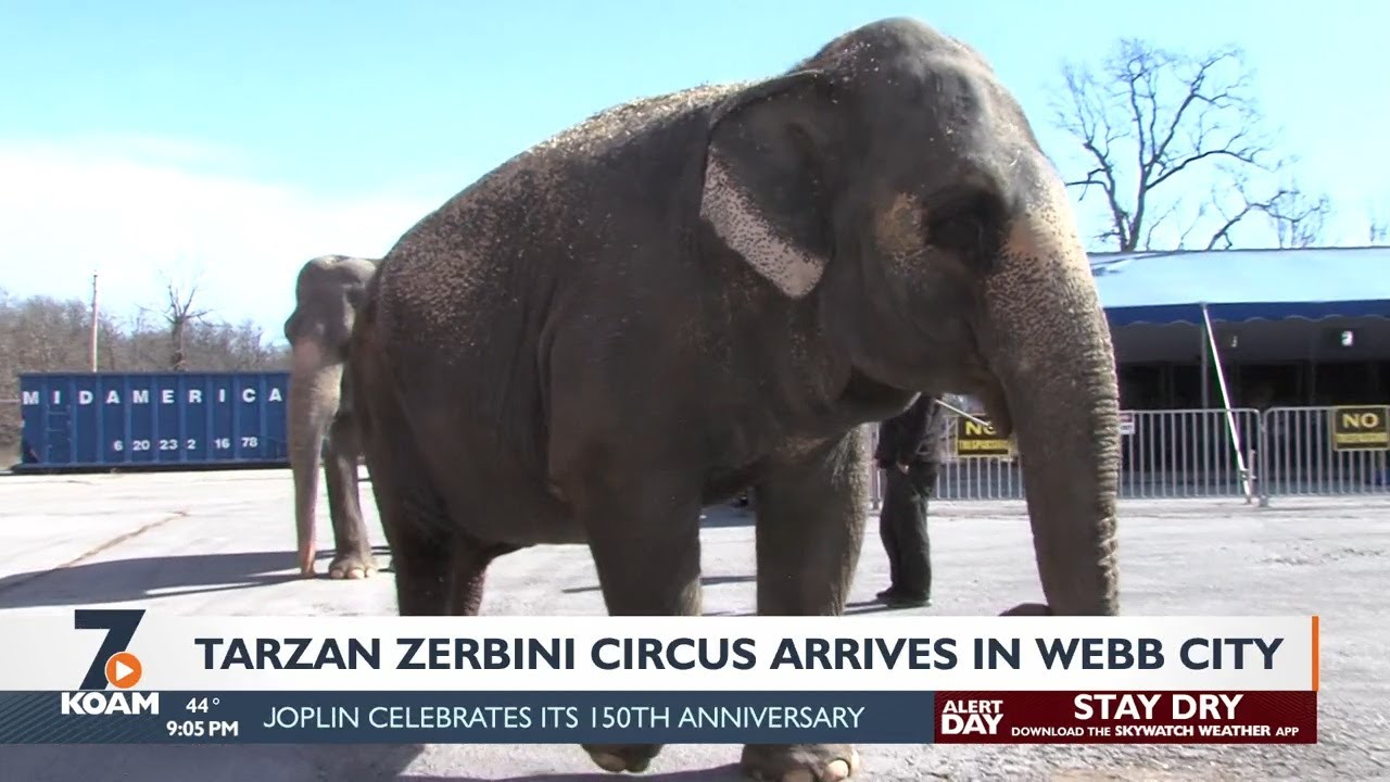 Tarzan Zerbini Circus Arrives In Webb City 03 23 23 Youtube