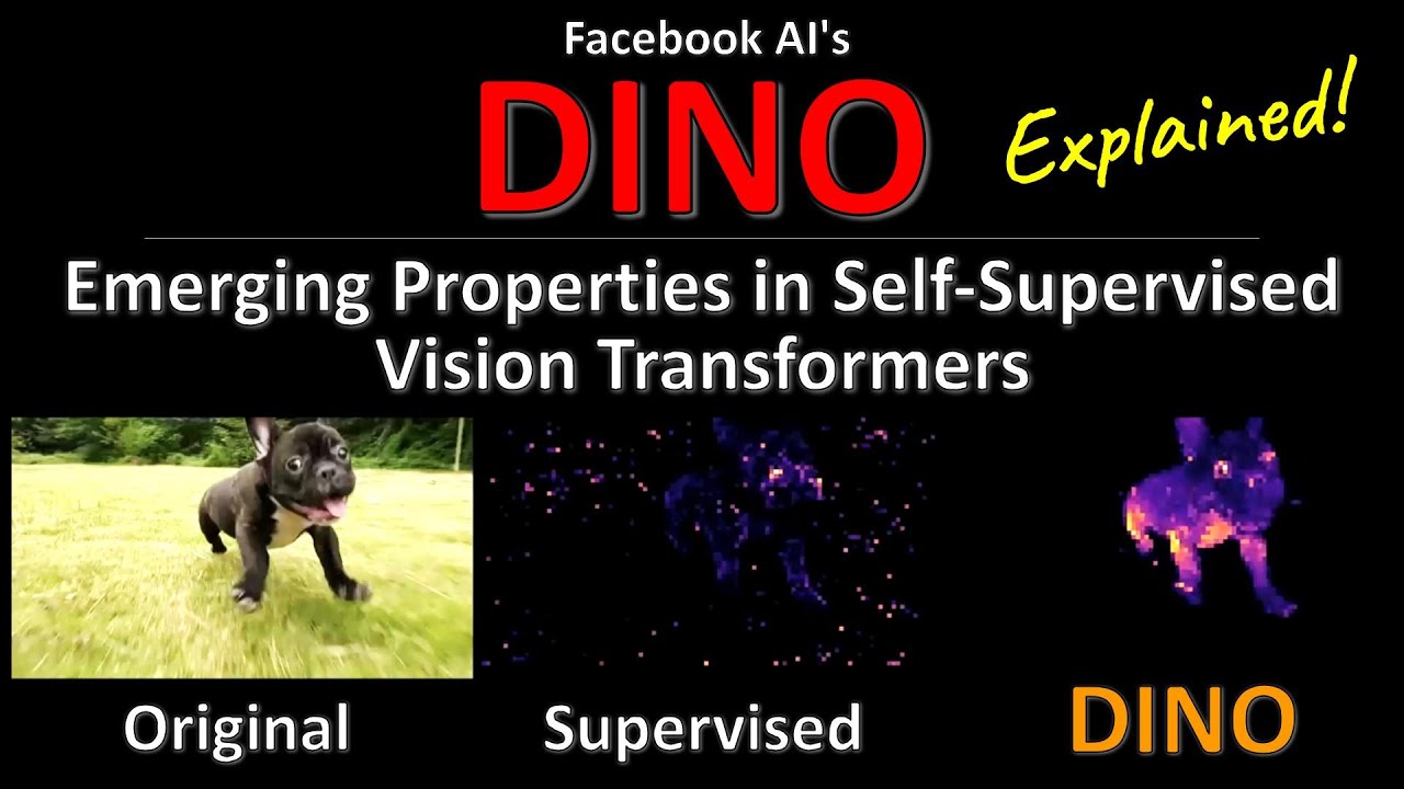 Dino Emerging Properties In Self Supervised Vision Transformers