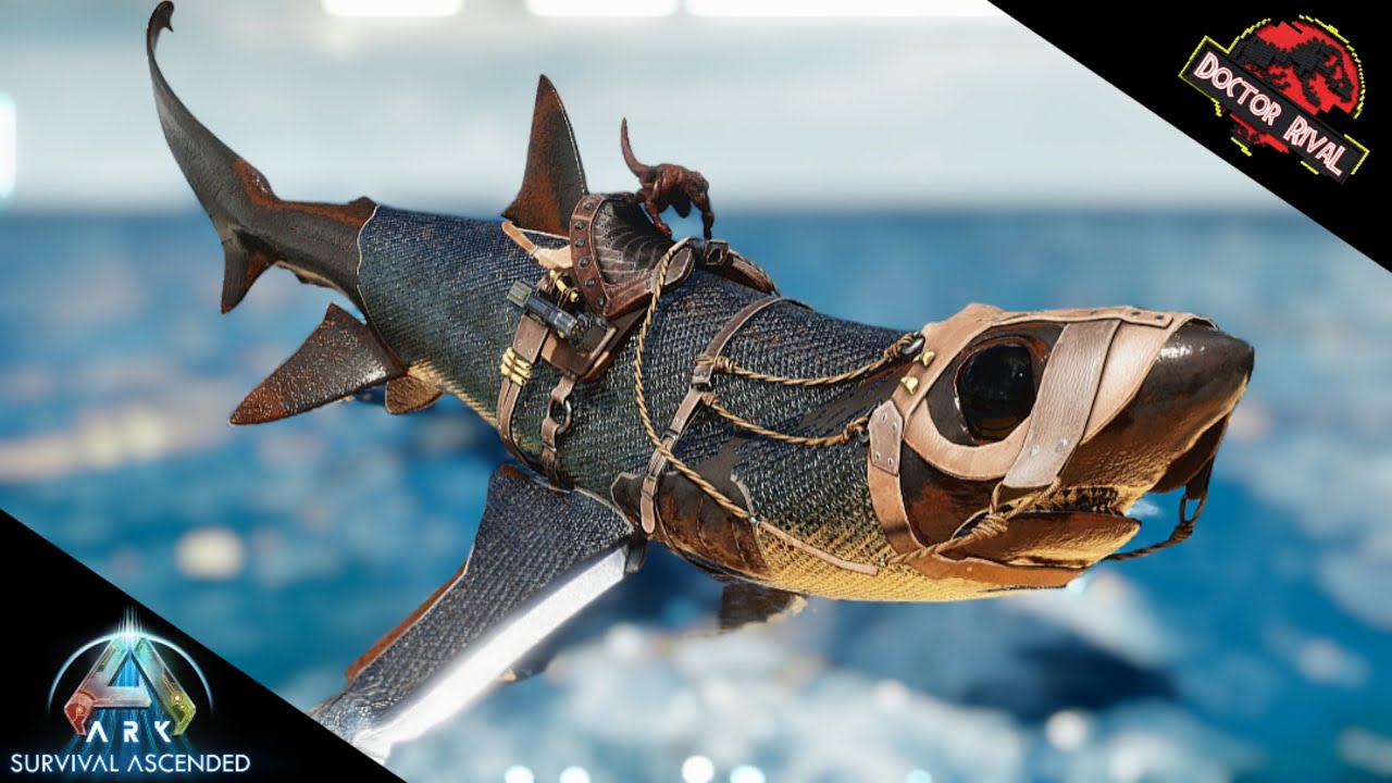 Thresher Shark Spotlight Ark Survival Ascended Youtube
