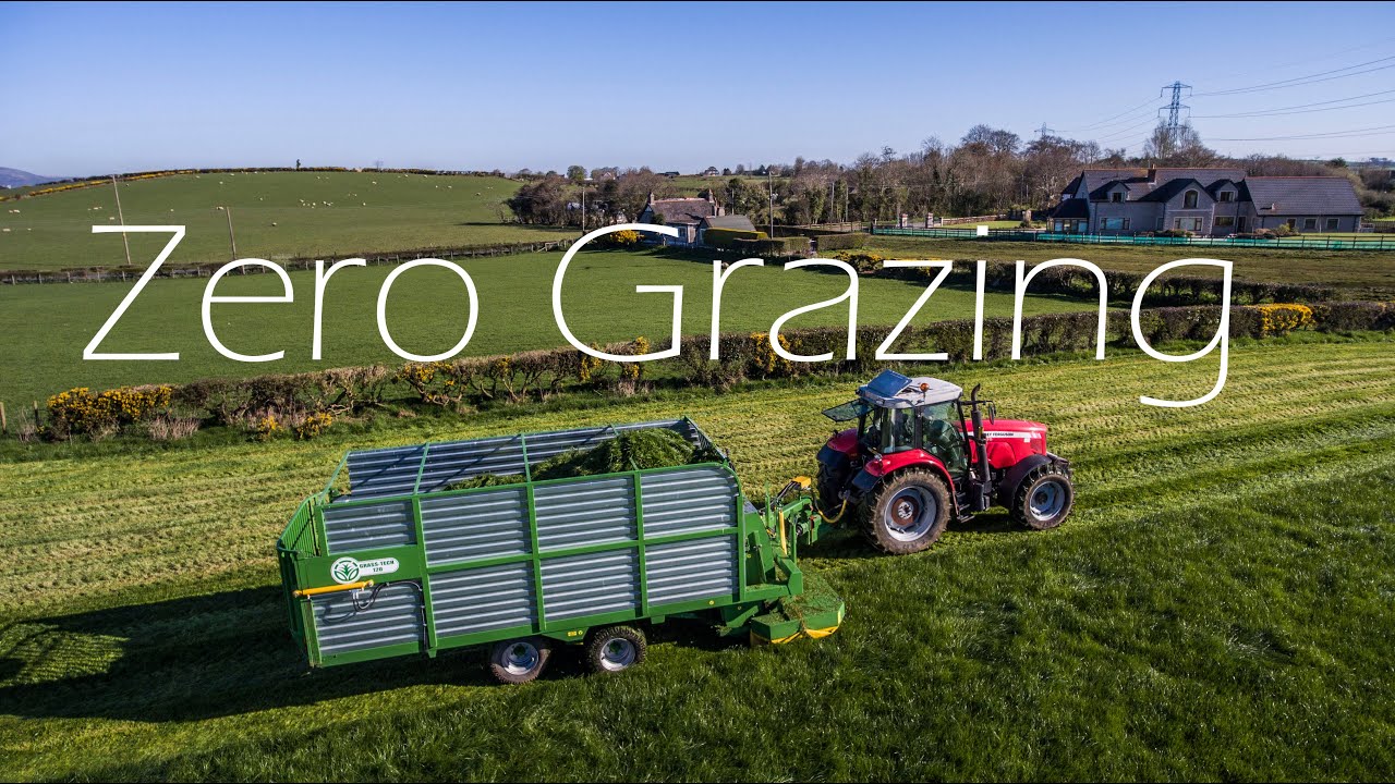 Zero Grazing Part Two Youtube