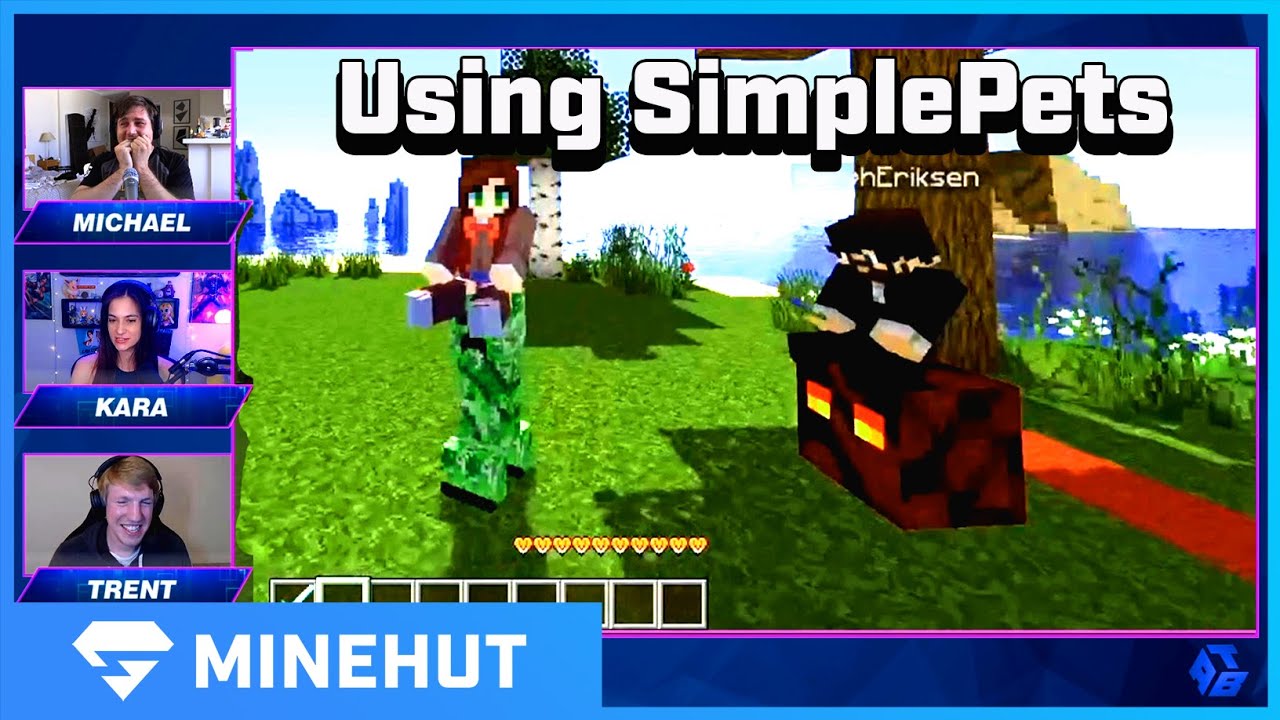 Using Simplepets Minehut 101 Youtube