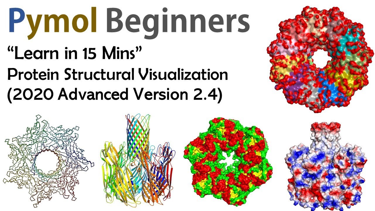 Pymol For Beginners Basic Tutorial Molecular Visualization Of